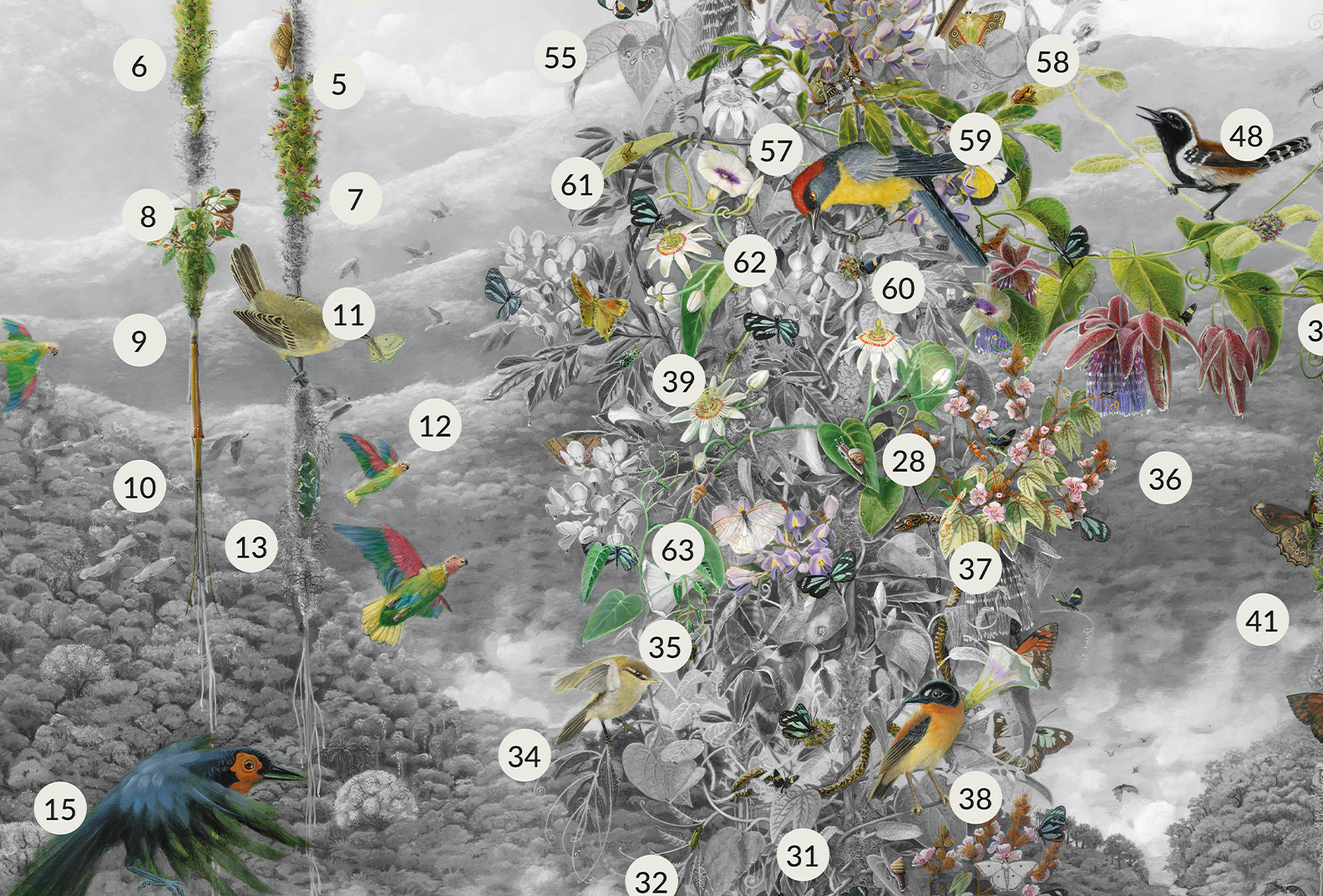 Species Keys – Isabella Kirkland